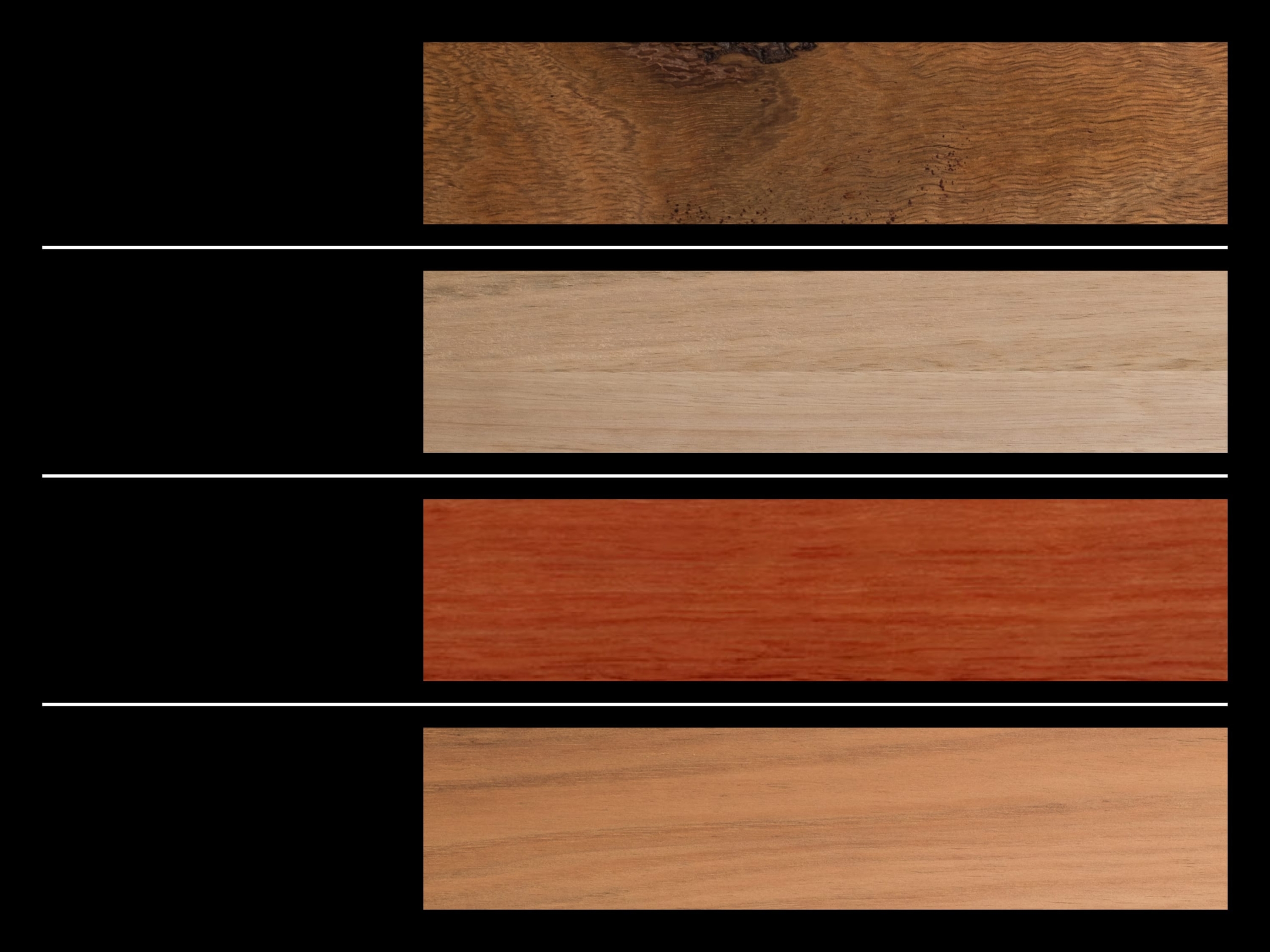 Ridgewood Website — Super Studio